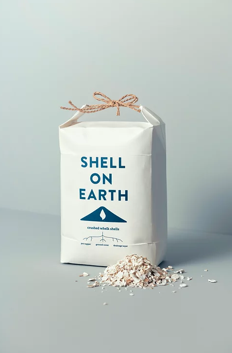 Shell On Earth - Crushed Whelk Shells | House of Foliage